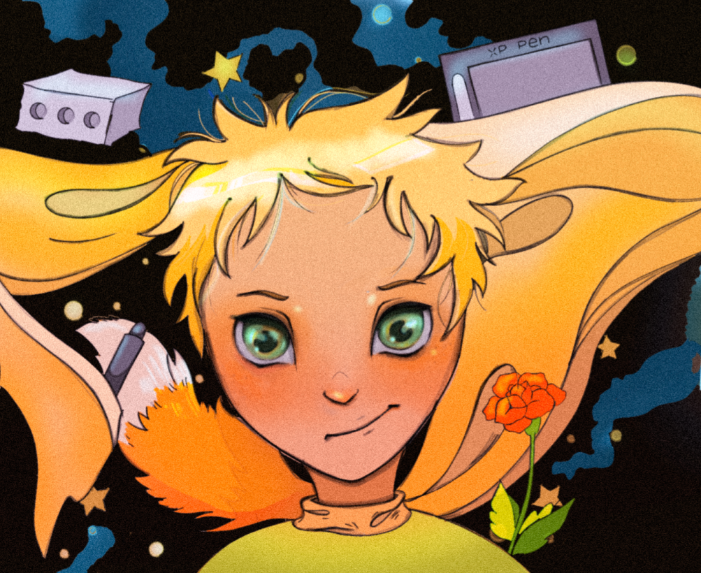 The Little Prince favorite things on the galaxy.