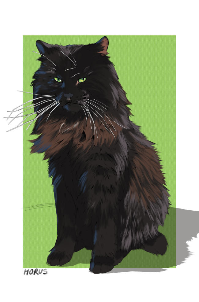 HORUS THE CAT