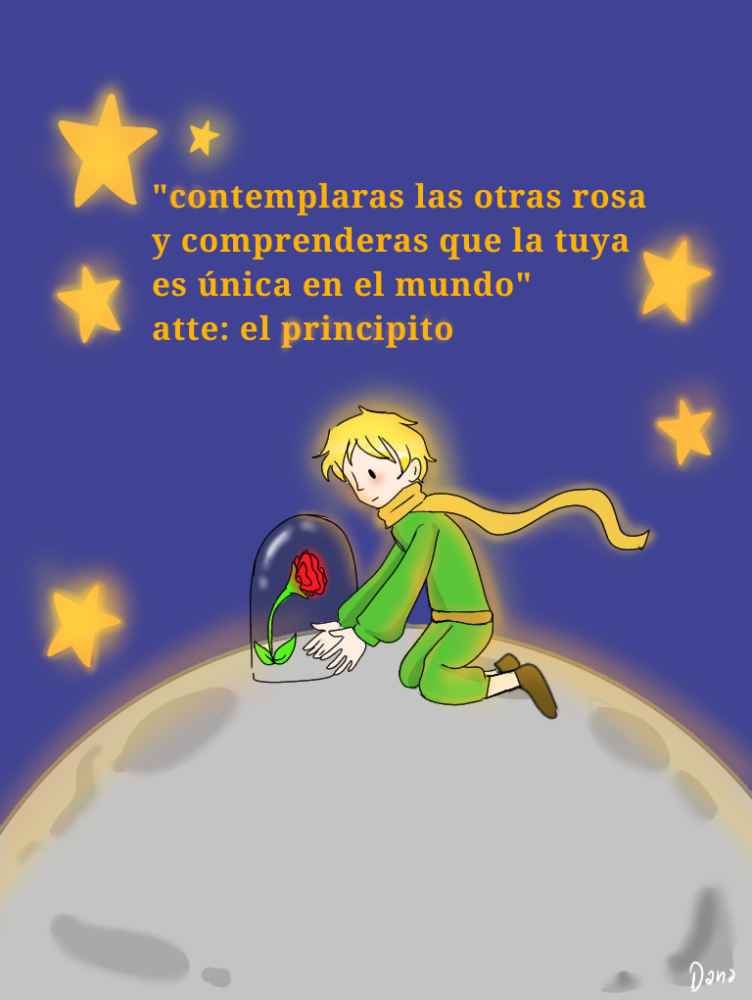 Desde Muy Chiquita Siempre Me Encanto El Libro Del Principito Mi