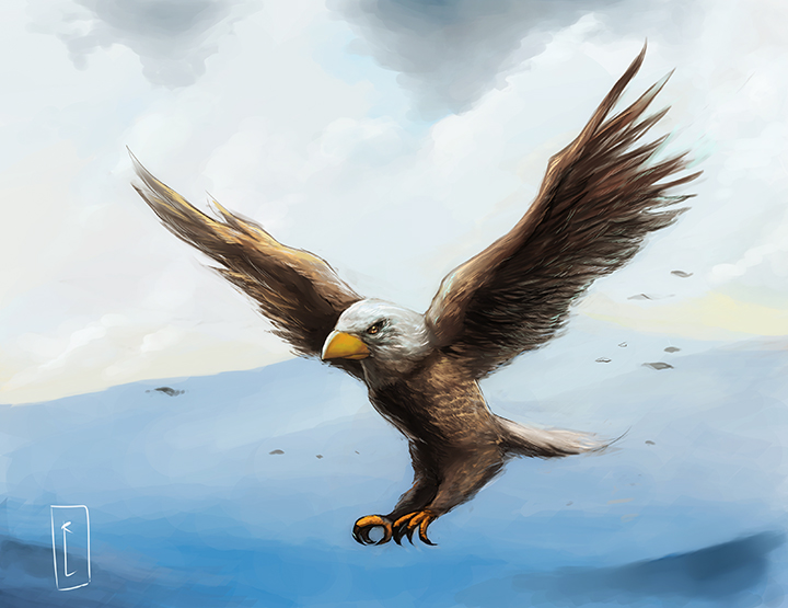 Flying Eagle portrait practice.