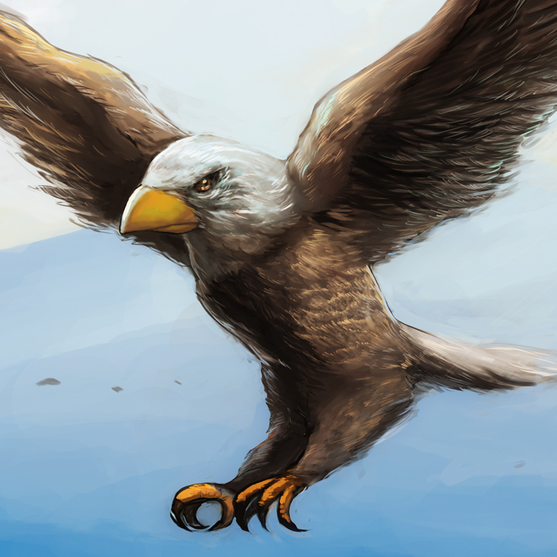 Flying Eagle portrait practice.