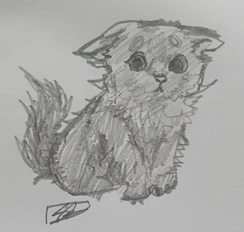 Day 16th Cat I almost broke my hand drawing this as my hand got in an ...