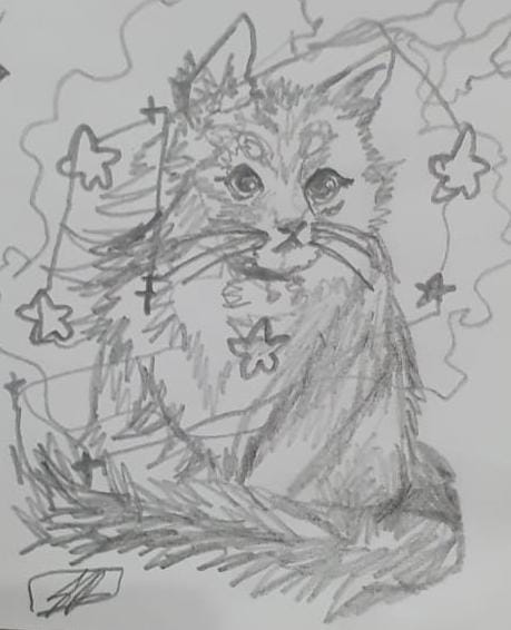 Day 16th Cat I almost broke my hand drawing this as my hand got in an ...