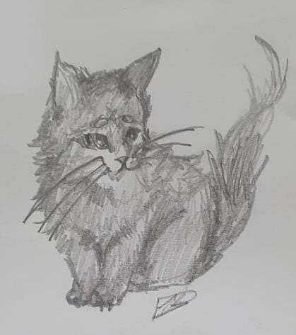 Day 16th Cat I almost broke my hand drawing this as my hand got in an ...